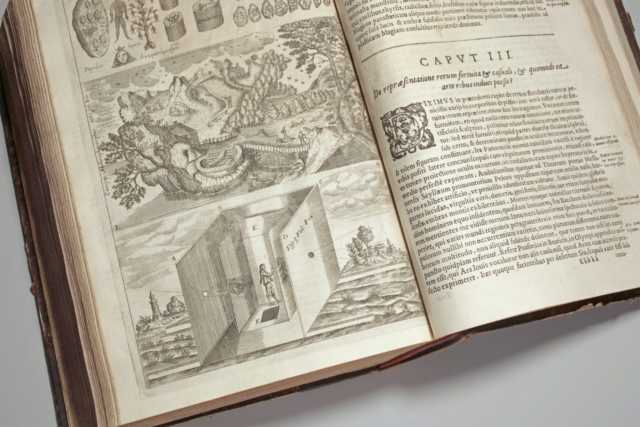 The camera obscura | Camera Museum